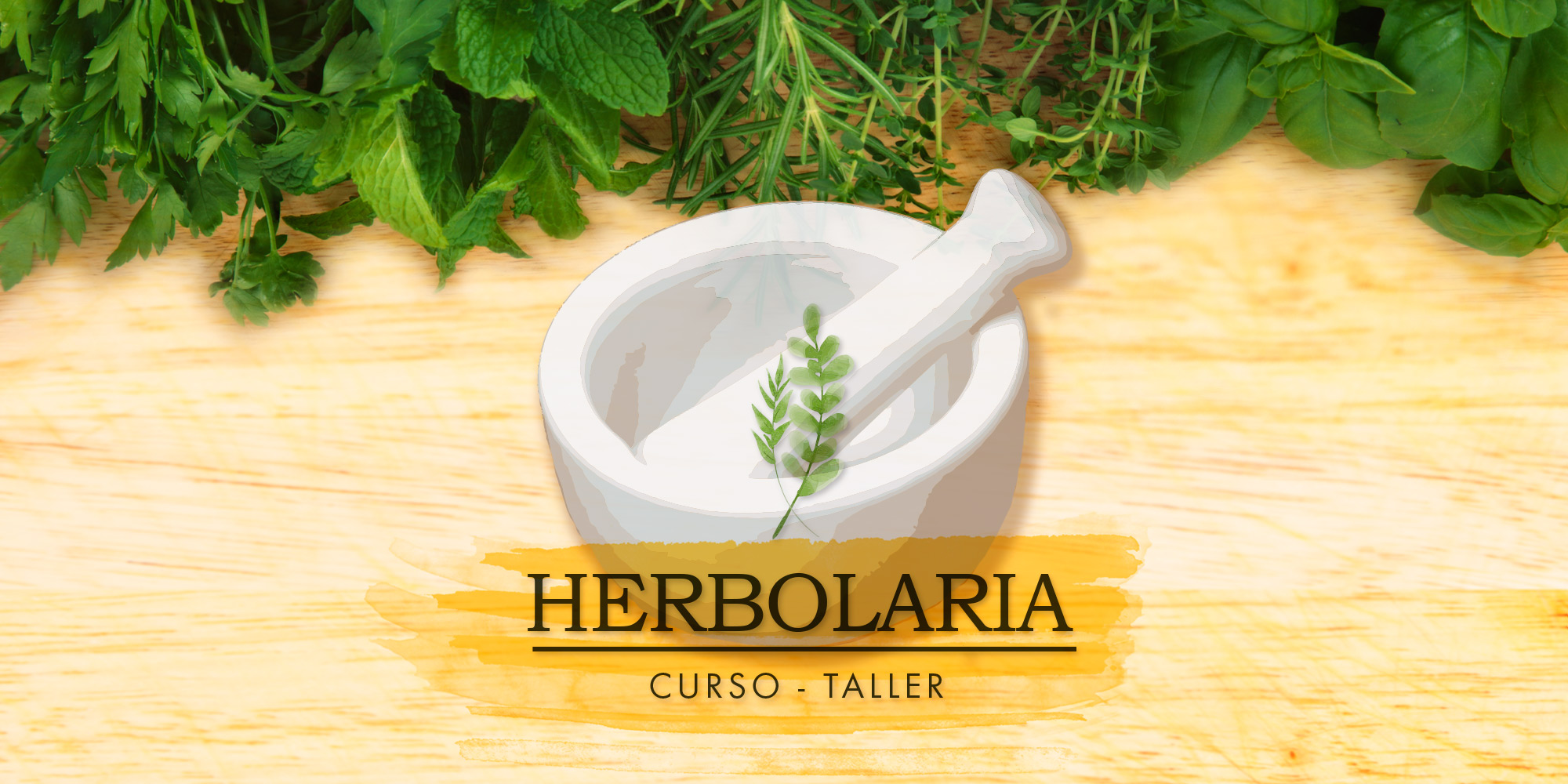 Herbolaria - 3 Museos